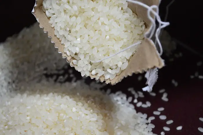 How To Grow Rice Using Hydroponics | Farm Hydroponics